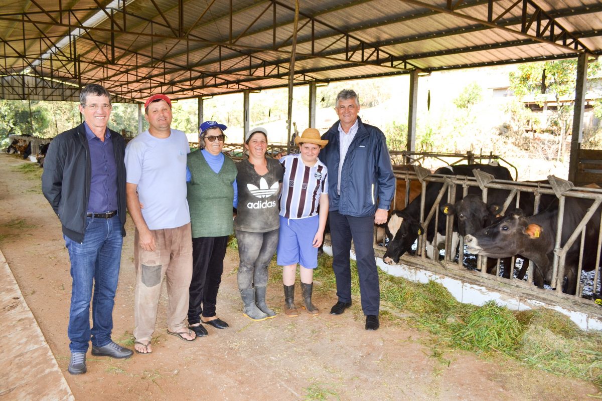 Produtores de Montauri geram renda através da atividade leiteira e ...